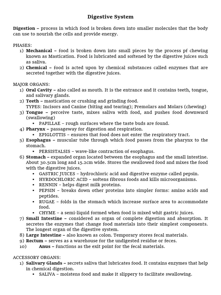 Digestive System Reviewer | PDF | Digestion | Human Digestive System