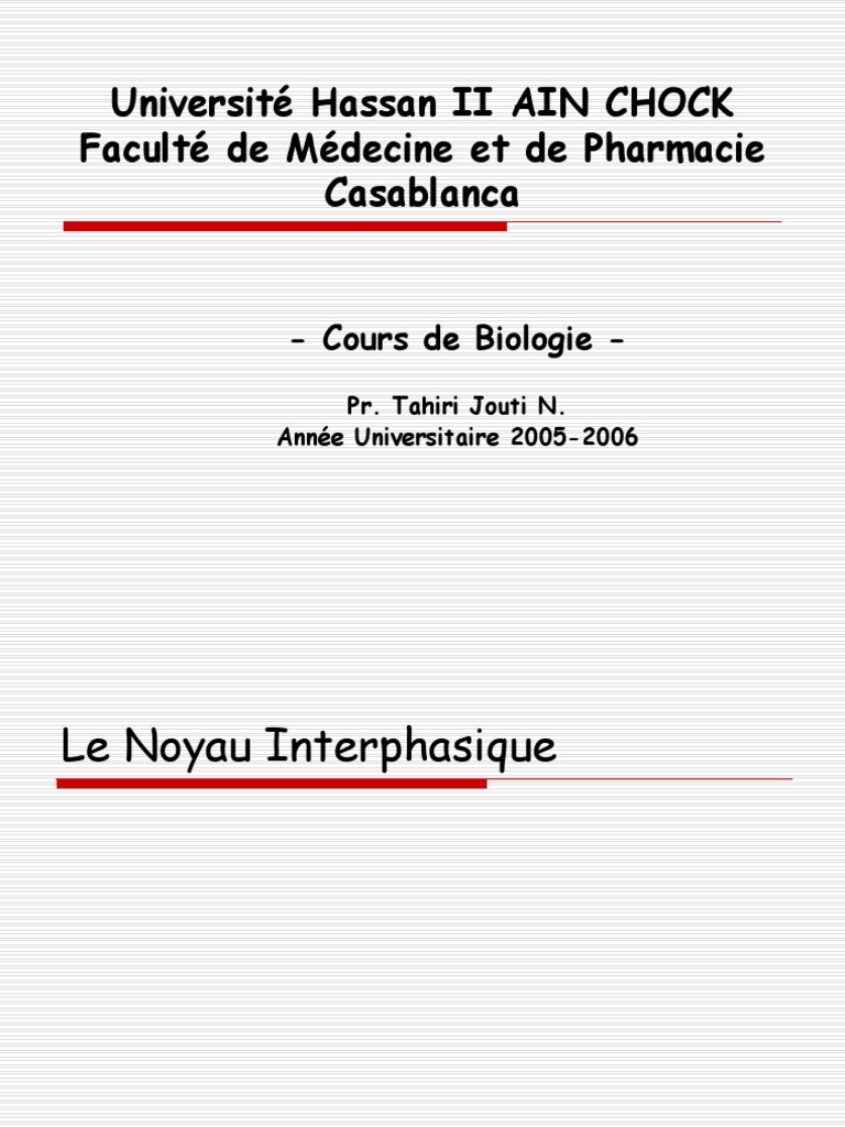 Le Noyau Interphasique | PDF | Noyau (biologie) | Acide ribonucléique ribosomique