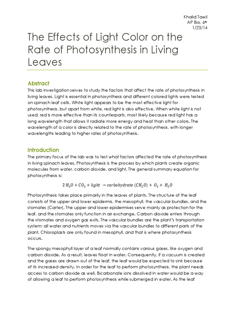 Photosynthesis Lab Report | Download Free PDF | Photosynthesis | Leaf