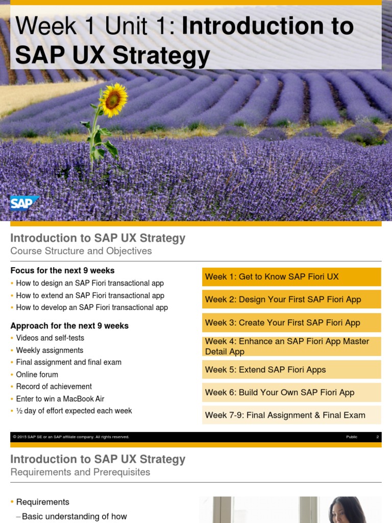 SAP UX Strategy: Week 1 Unit 1: Introduction To | PDF | Information ...