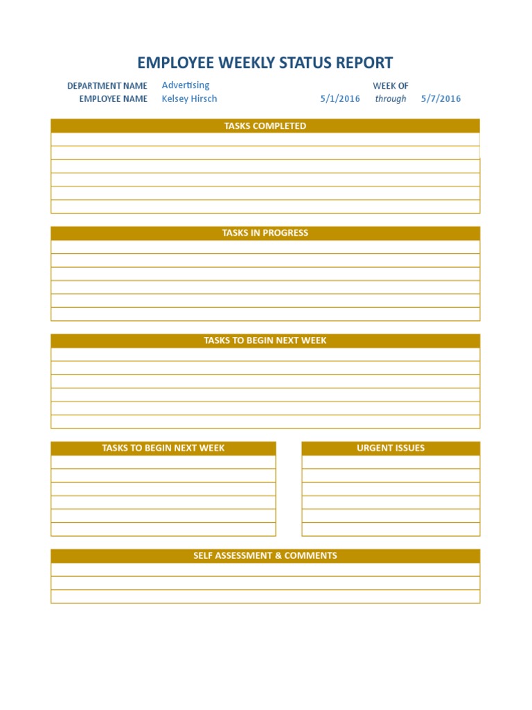 Employee Weekly Status Report: Tasks Completed | PDF