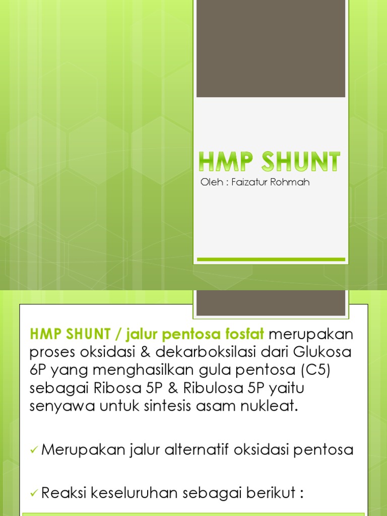 HMP Shunt | PDF | Sains & Matematika