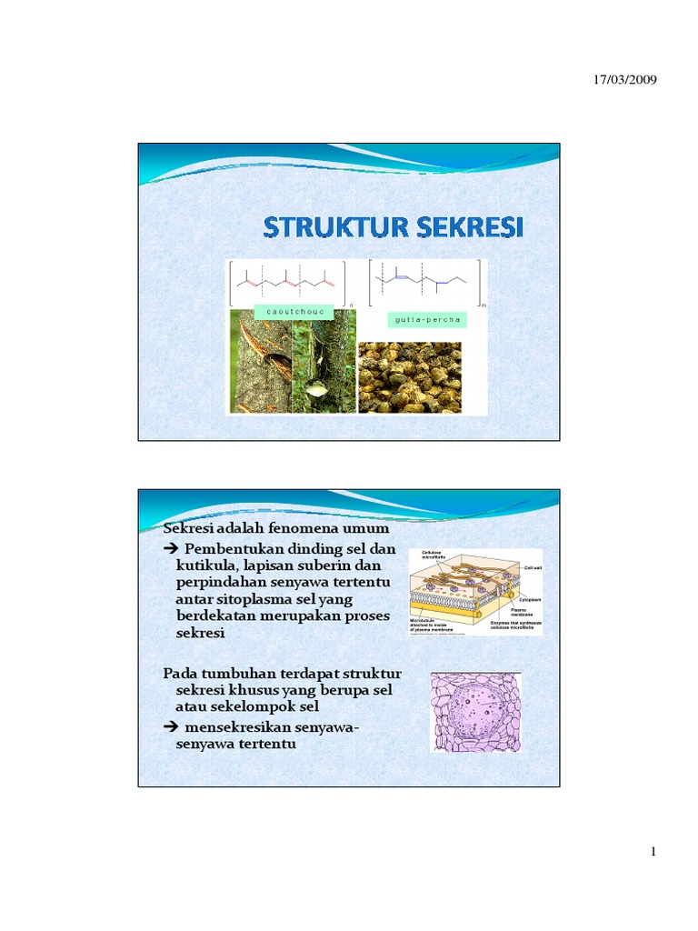 Struktur Sekresi | PDF