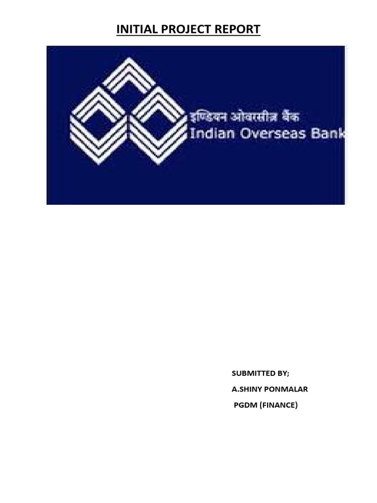 Shiny Initial Project Report 1 | PDF | Credit Card | Banks