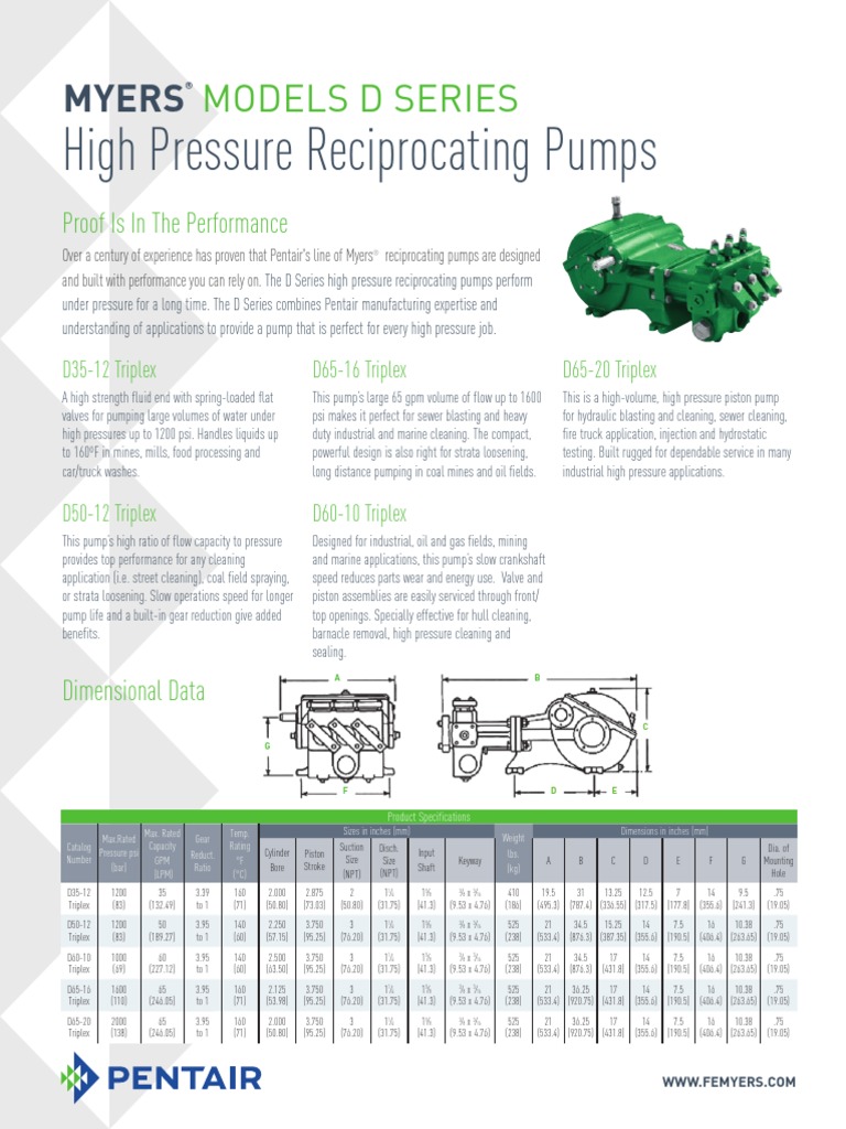 Myers Triplex Water Pump D35 D50 D60 D65 Data Sheet | PDF | Pump | Piston