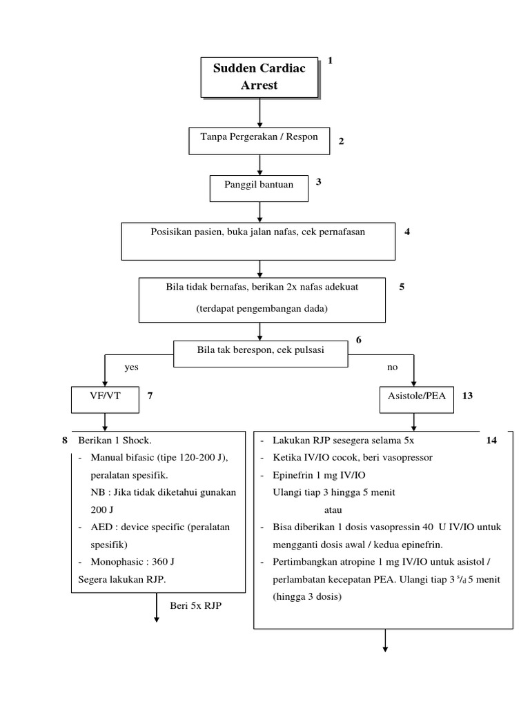 WOC + Algoritma Cardiac Arrest | PDF