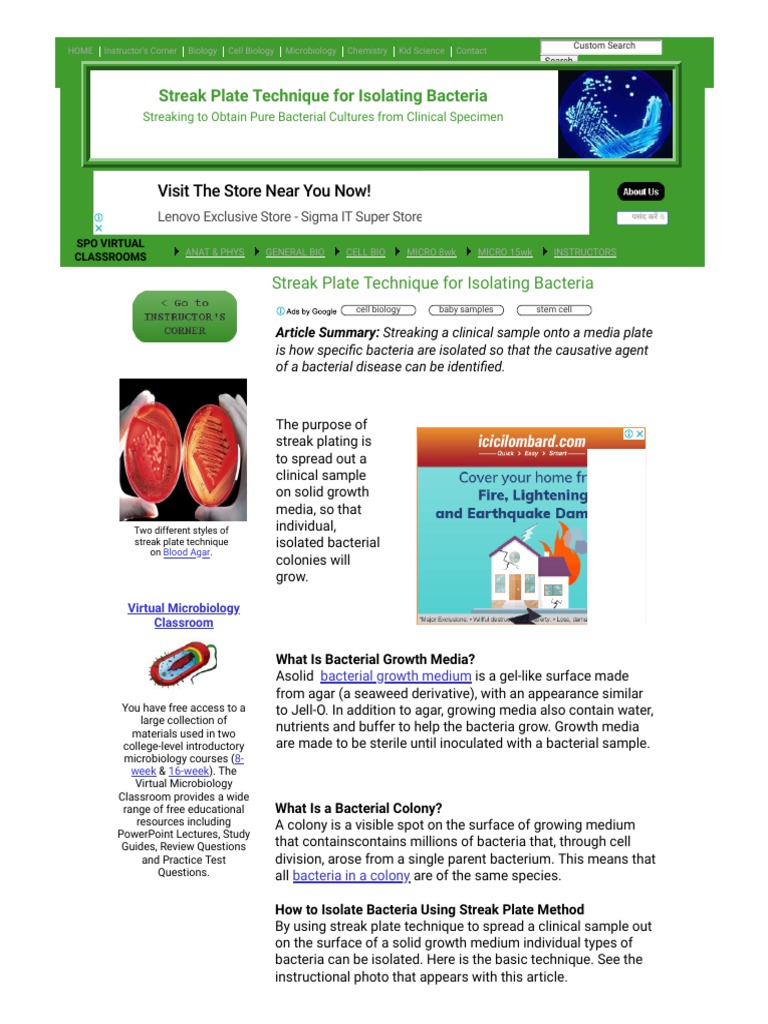 Streak Plate Technique For Isolating Bacteria | PDF | Growth Medium ...