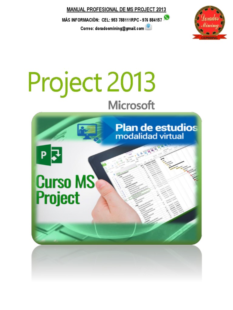 Manual Microsoft Project Professional PDF | PDF | Microsoft | Ventana ...