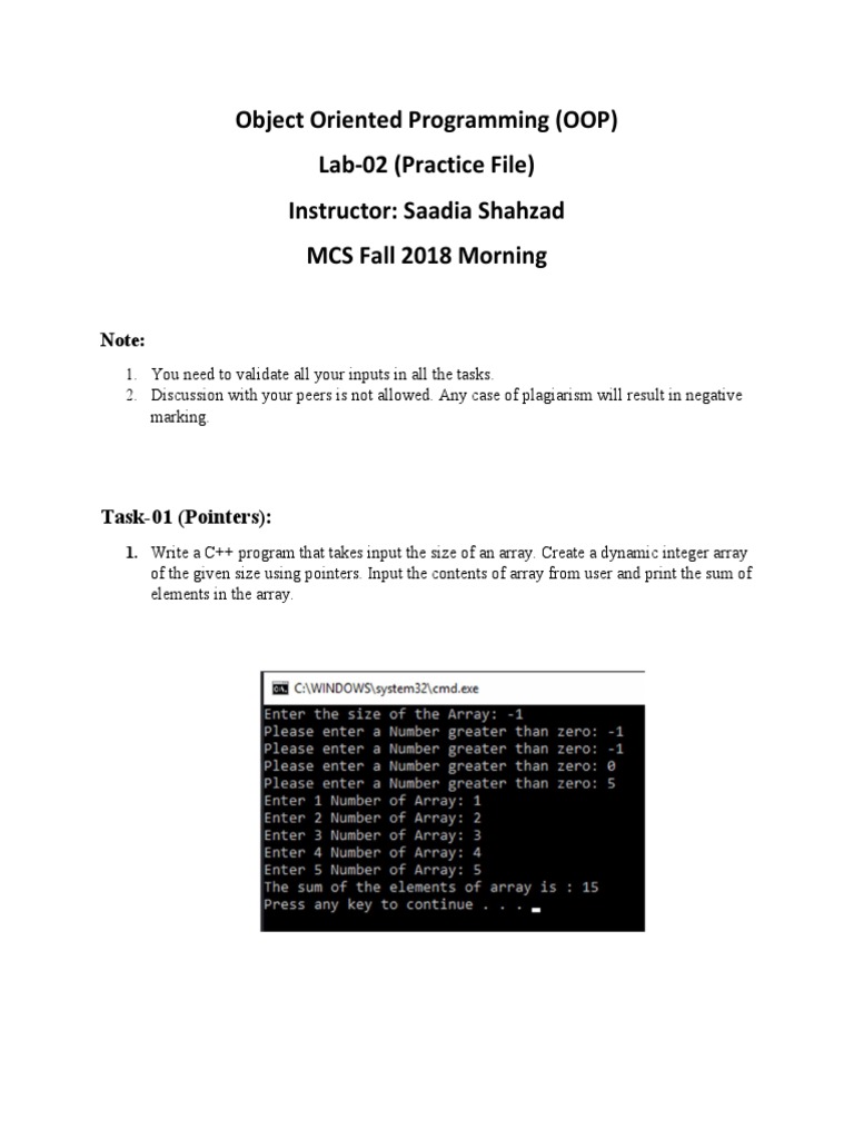 OOP Lab 2 (Practice File) | PDF