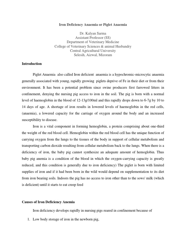 Piglet Anaemia | PDF | Anemia | Hemoglobin