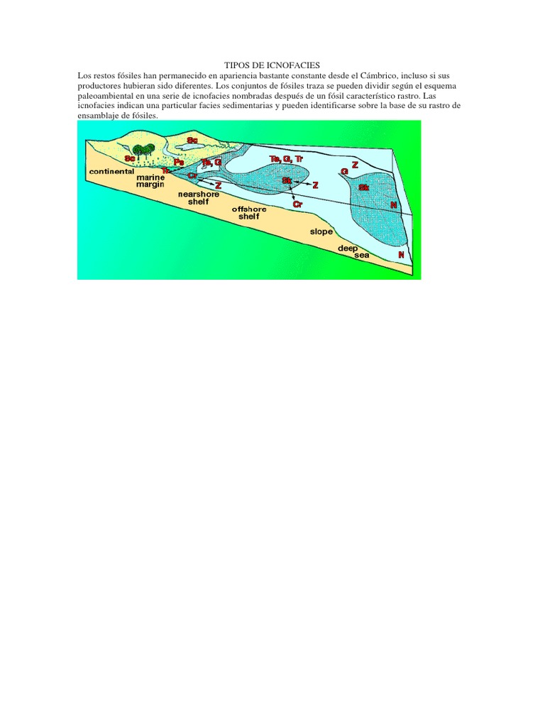 Tipos de Icnofacies en Paleontología | PDF