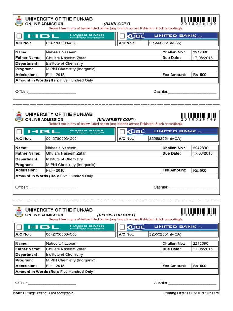 PU Challan Form | PDF | Business