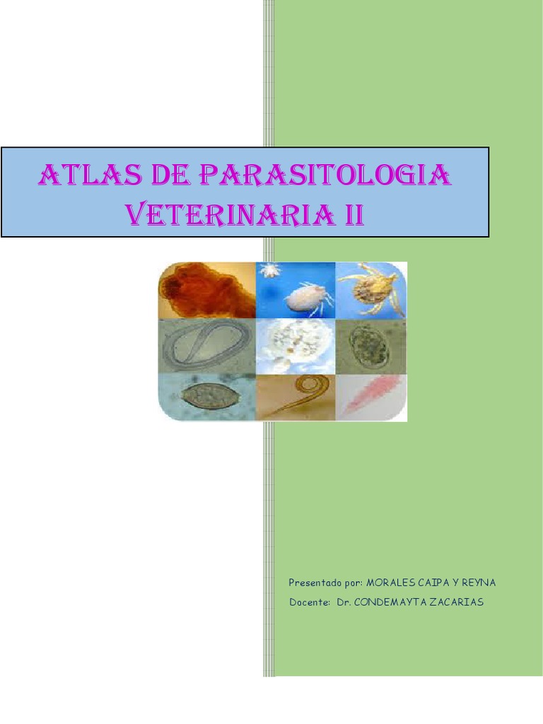 Atlas De Parasitologia Veterinaria Ii 000000 Pdf Microbiología