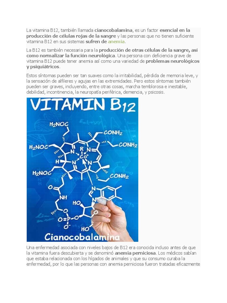 La Vitamina B11 Habitualmente Más Conocida Como | PDF | Vitamina B12 ...