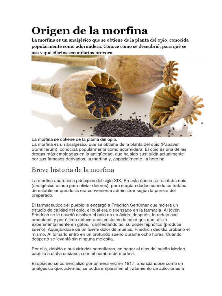 Origen de la morfina.docx | Morfina | Despachador de drogas