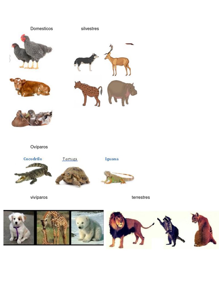 animales domesticos, silvestres, oviparos, viviparos, terrestres ...