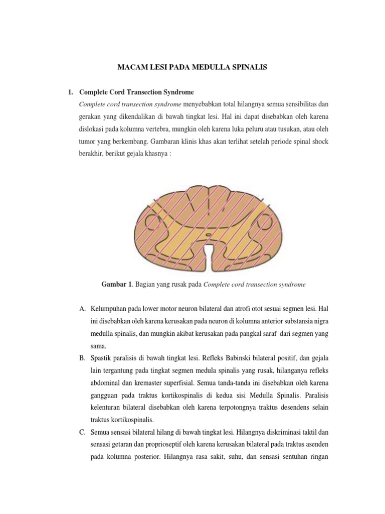 Lesi Pada Medspin | PDF
