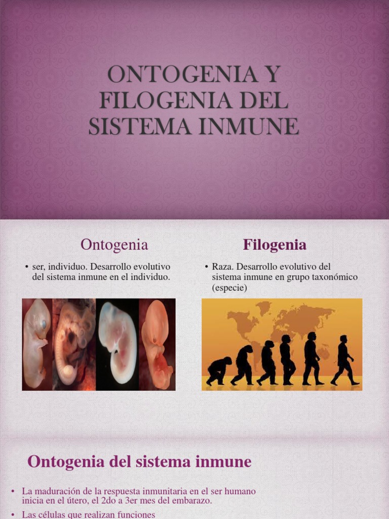 Ontogenia y Filogenia Del Sistema Inmune | PDF