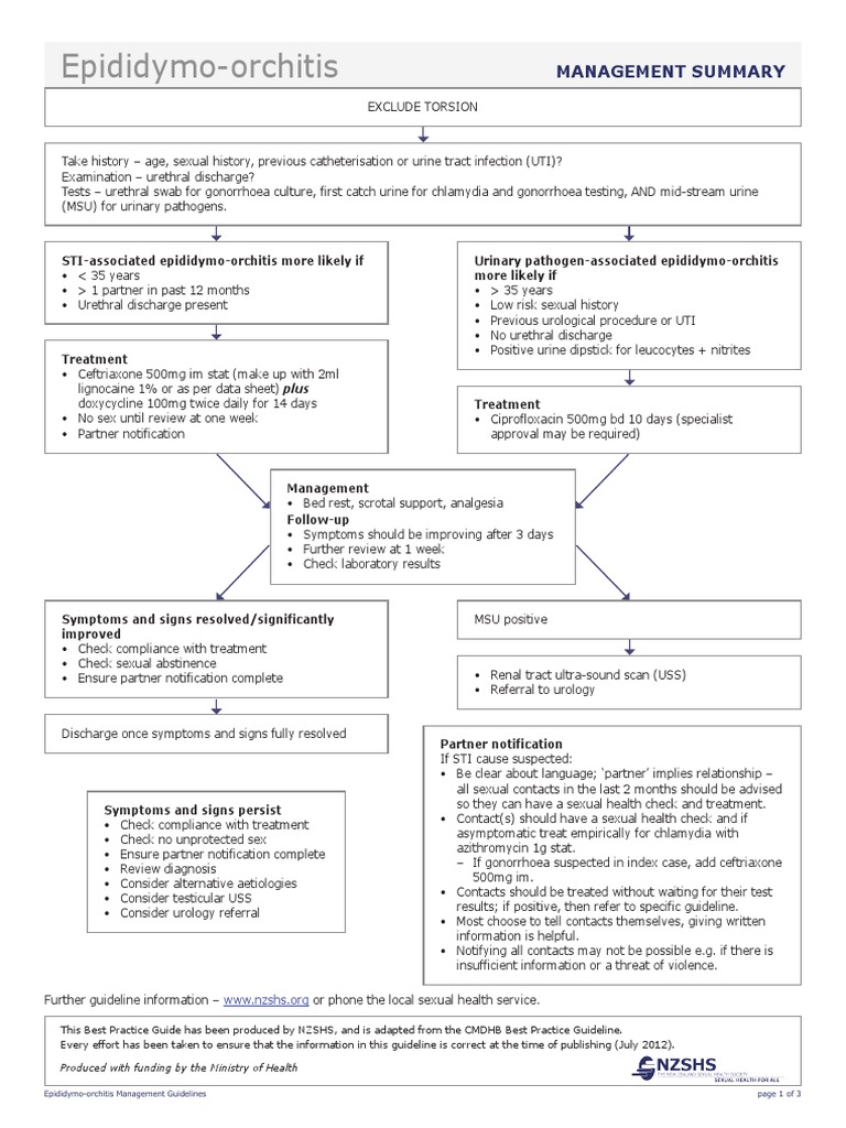 Guidelines for Diagnosing and Managing Epididymo-Orchitis Caused by ...