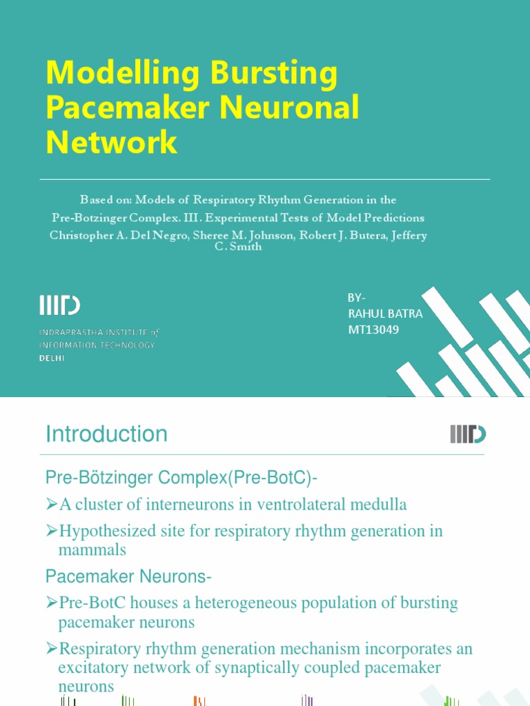 Pre-BotC Pacemaker Neuron Modeling | PDF | Action Potential | Nervous ...