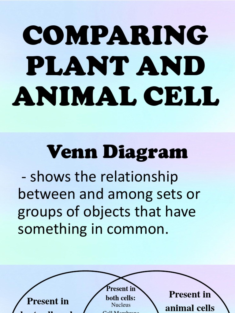 Plant vs Animal Cells Guide | PDF