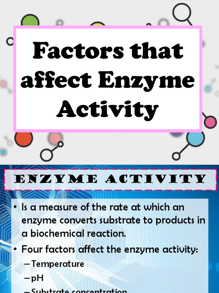 Factors That Affect Enzyme Activity | PDF | Enzyme Inhibitor | Active Site