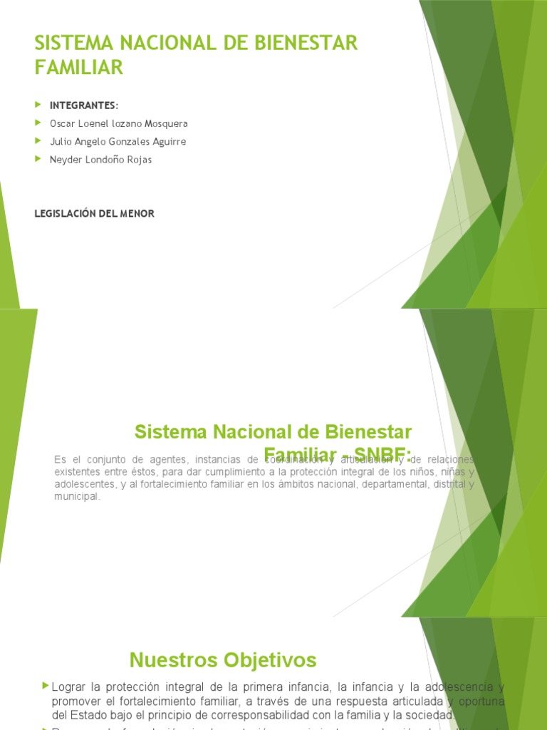 Sistema Nacional de Bienestar Familiar - SNBF OSCAR | PDF | Bienestar ...