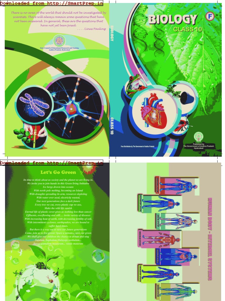 10th Biology English PDF | PDF | Photosynthesis | Chloroplast