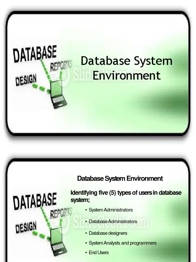 Database System Environment | PDF