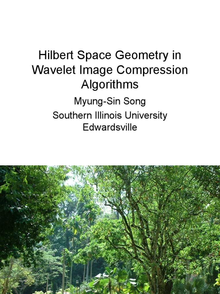 Hilbert Space Geometry in Wavelet Image Compression Algorithms | PDF | Wavelet | Functional Analysis