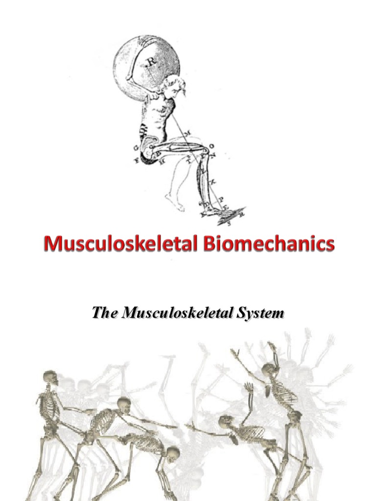 Musculoskeletal Biomechanics | Anatomical Terms Of Motion | Human Anatomy