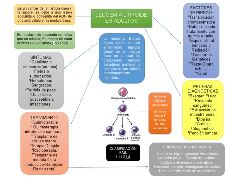 Mapa Conceptual LLA | PDF | Leucemia | Cáncer
