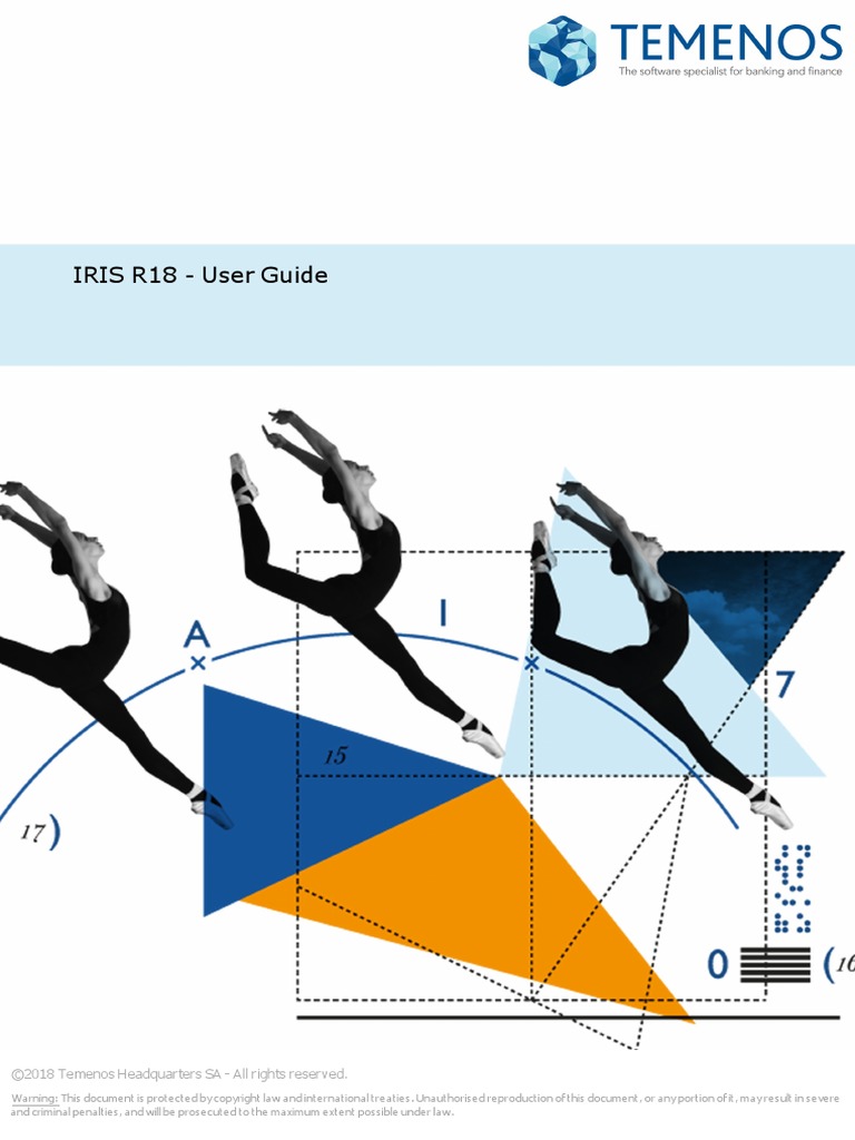IRIS R18 User Guide PDF | PDF | Application Server | Application Programming Interface