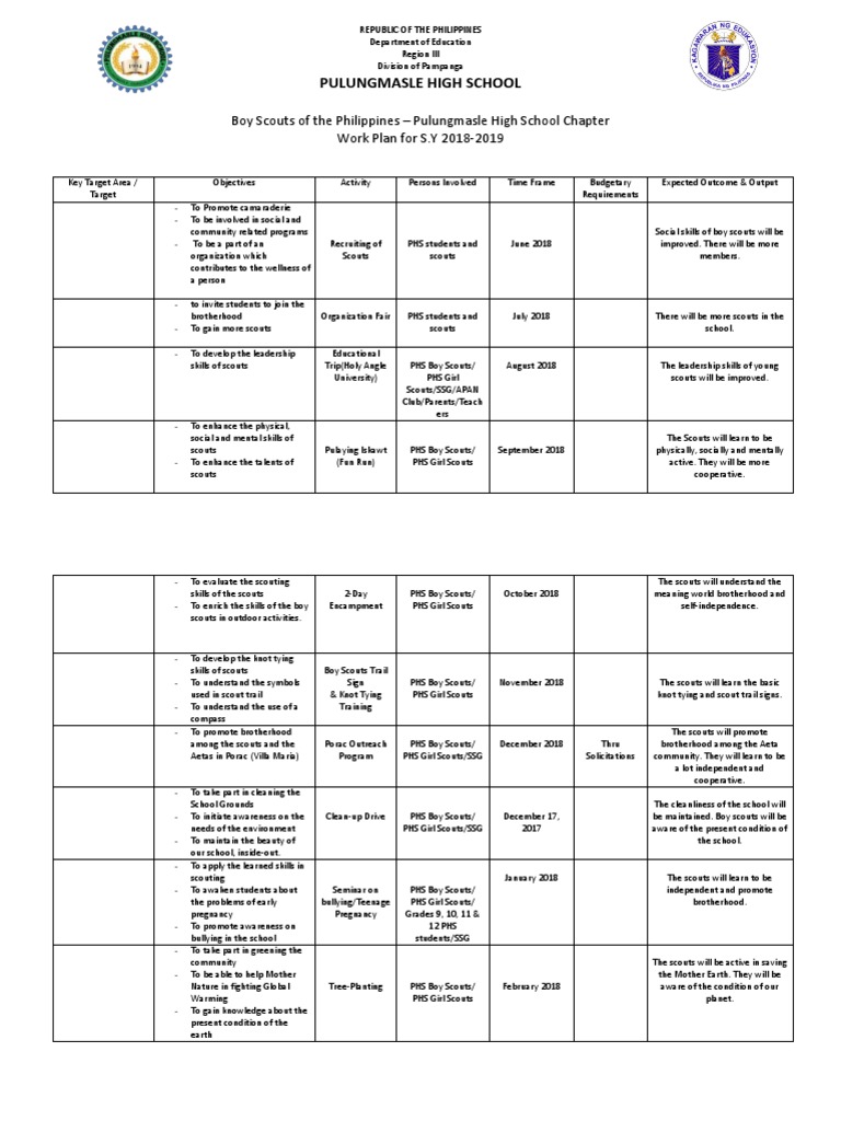 Action Plan BSP Phs | PDF | Boy Scouts Of America | Behavior Modification