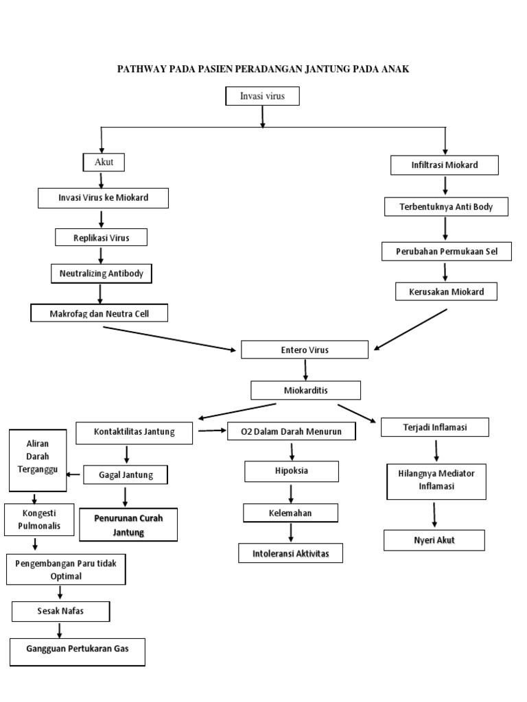Pathway Pada Pasien Peradangan Jantung Pada Anak | PDF