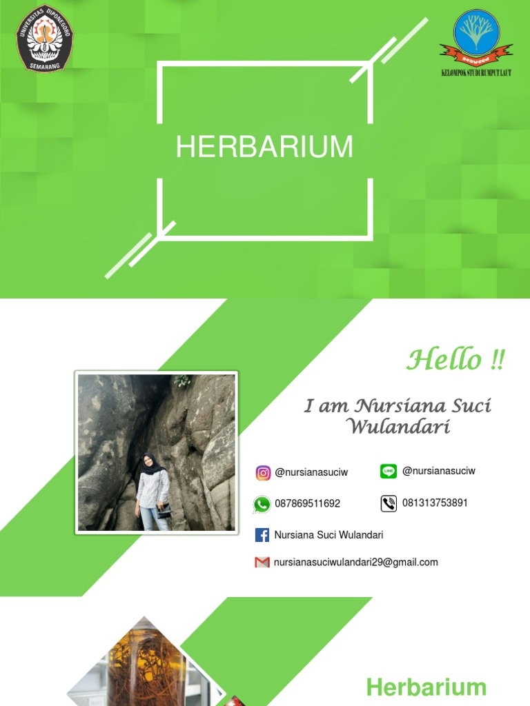 Herbarium Rumput Laut | PDF | Griya & Taman | Kesehatan Holistik