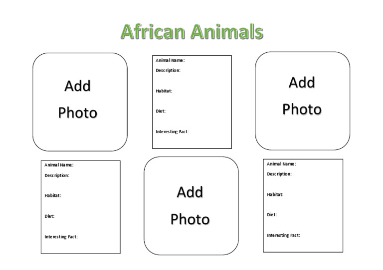 Animal Poster Template | PDF