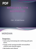 Titik Akupuntur dan Fungsinya | PDF
