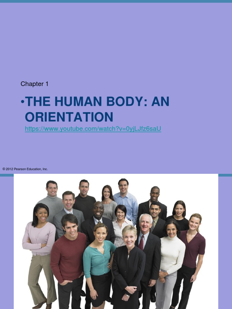 Ch1 The Human Body An Orientation | Download Free PDF | Anatomical ...