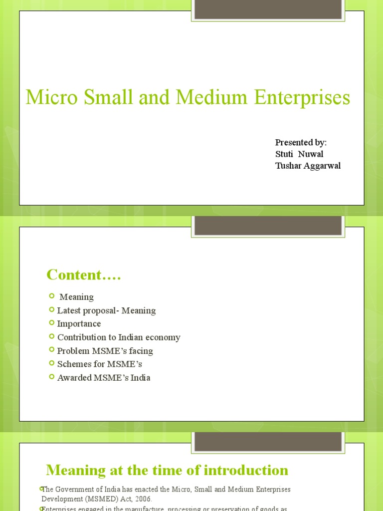 Micro, Small and Medium Enterprises | PDF | Small And Medium Sized ...