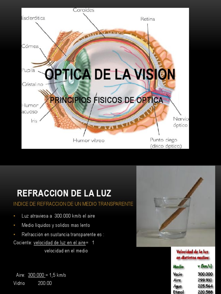 Optica De La Vision | Percepción visual | Ojo humano