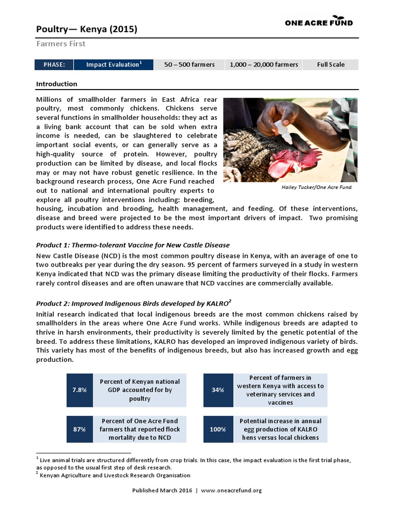 Poultry Ag Innovations PDF | PDF | Chicken | Kenya