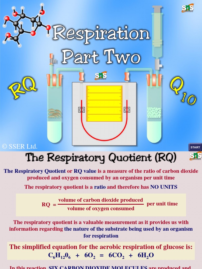 Respiratory Quotient | PDF | Cellular Respiration | Carbon Dioxide