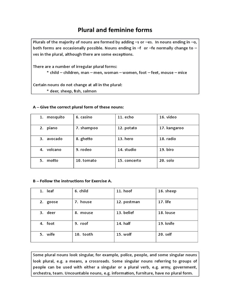 Plural and Feminine Forms1 | PDF | Plural | Grammatical Number