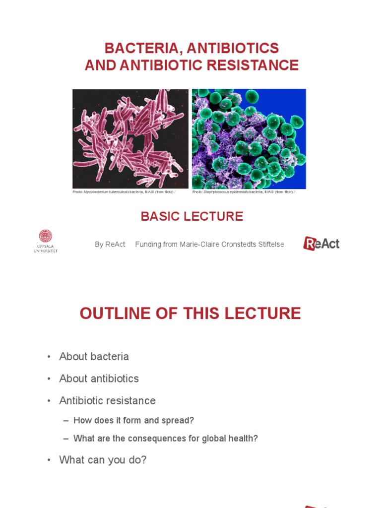 Bacteria, Antibiotics and Antibiotic Resistance: Basic Lecture | PDF ...