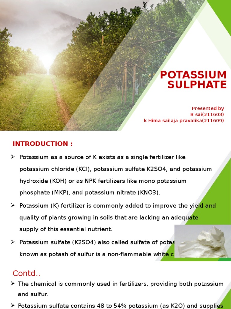 Potassium Sulphate: Presented by B Sai (211603) K Hima Sailaja ...