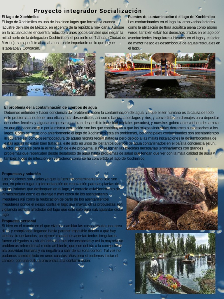 Proyecto Integrador Modulo 20 | PDF | Residuos | lago