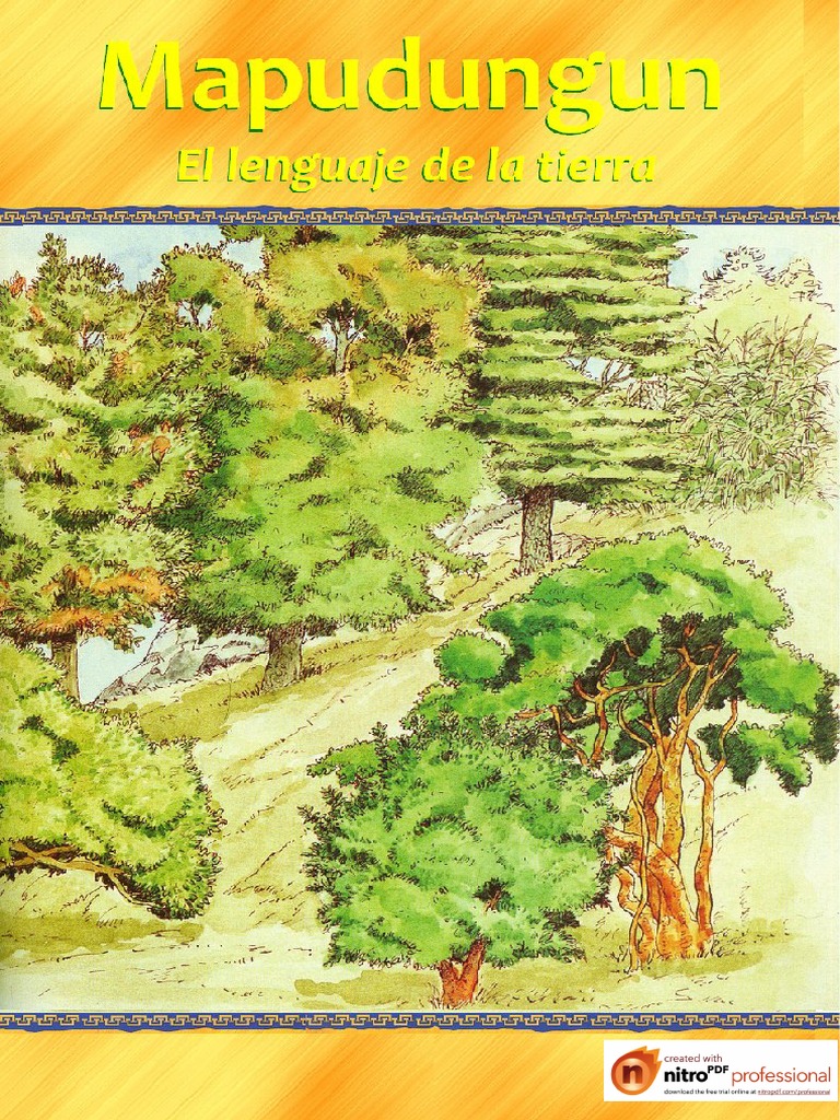 mapudungun-el-lenguaje-de-la-tierra.pdf | Verbo | Lengua española ...