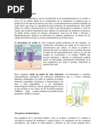 Complejo SNARE y fusión de membranas | PDF | Ácido gamma-aminobutírico ...