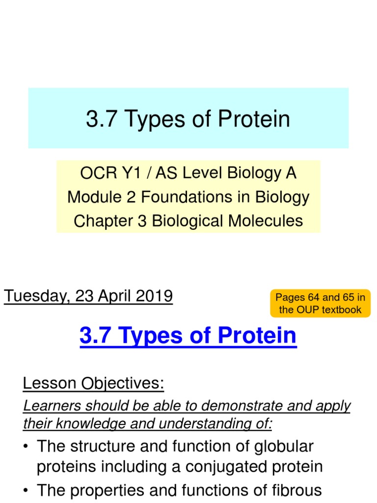 3.7 Types of Protein LP | PDF | Protein Structure | Proteins